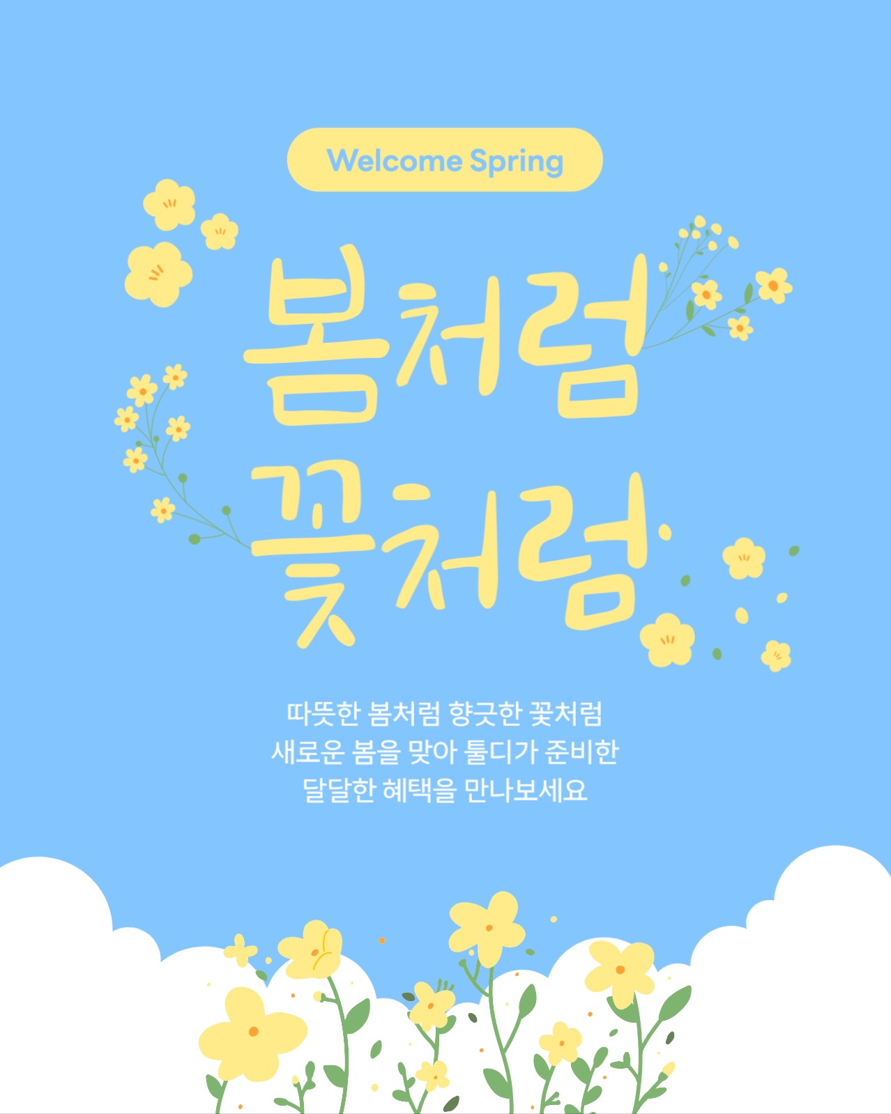 봄맞이 이벤트| 툴디(tooldi)