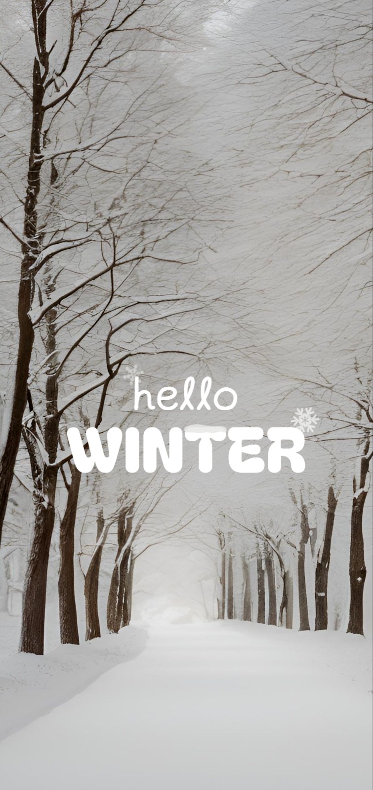 hello winter| 툴디(tooldi)
