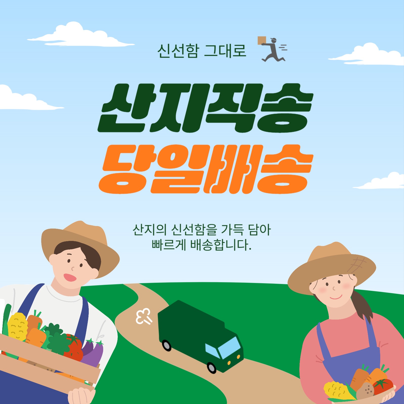 산지직송달일배송| tooldi