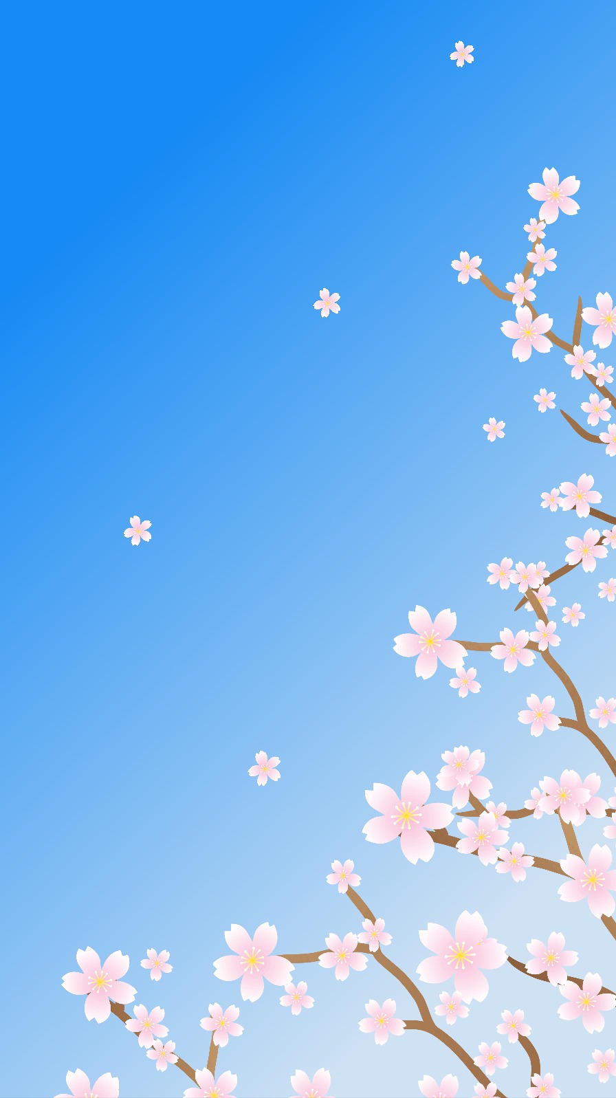 푸른하늘과벚꽃| tooldi